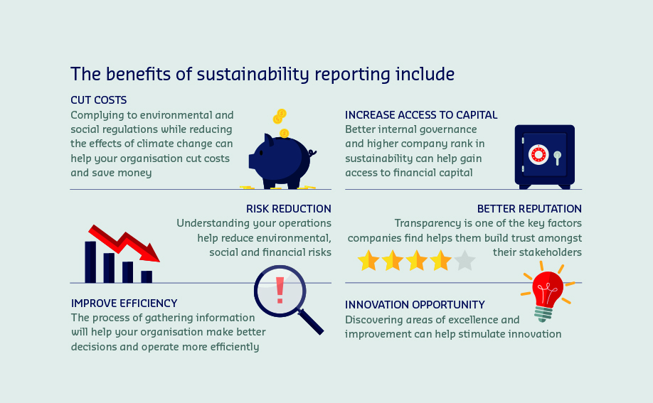 Sustainability strategy and reporting - Peterson Solutions